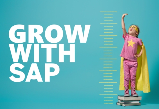 Hyperscaler, private cloud or RISE with SAP? - Ctac